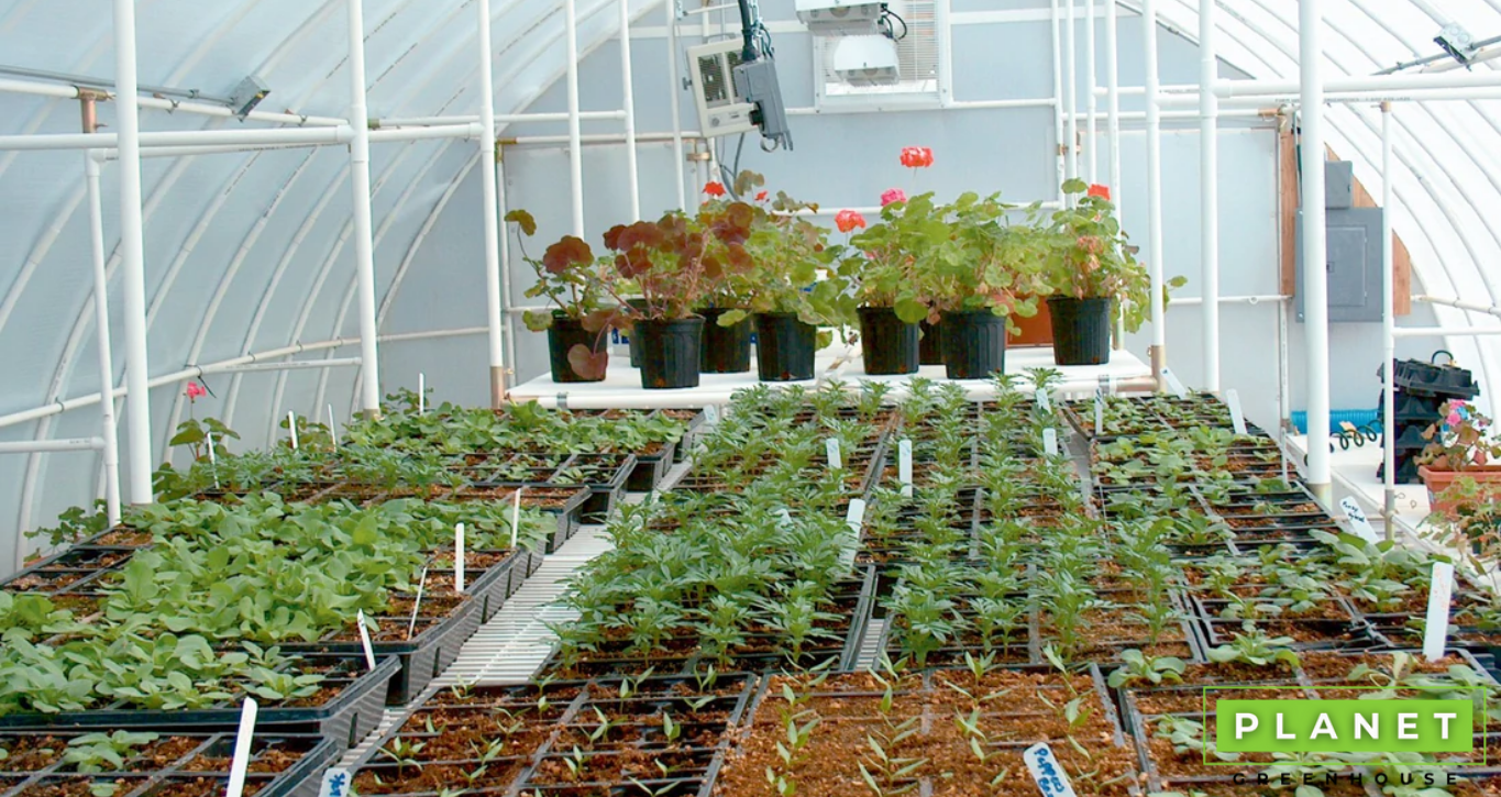 Solexx Greenhouse Kits: An Absolute Must-Have – Planet Greenhouse