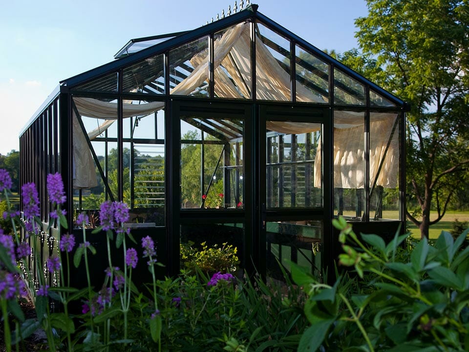 Exaco Janssens Retro Royal Victorian – Planet Greenhouse